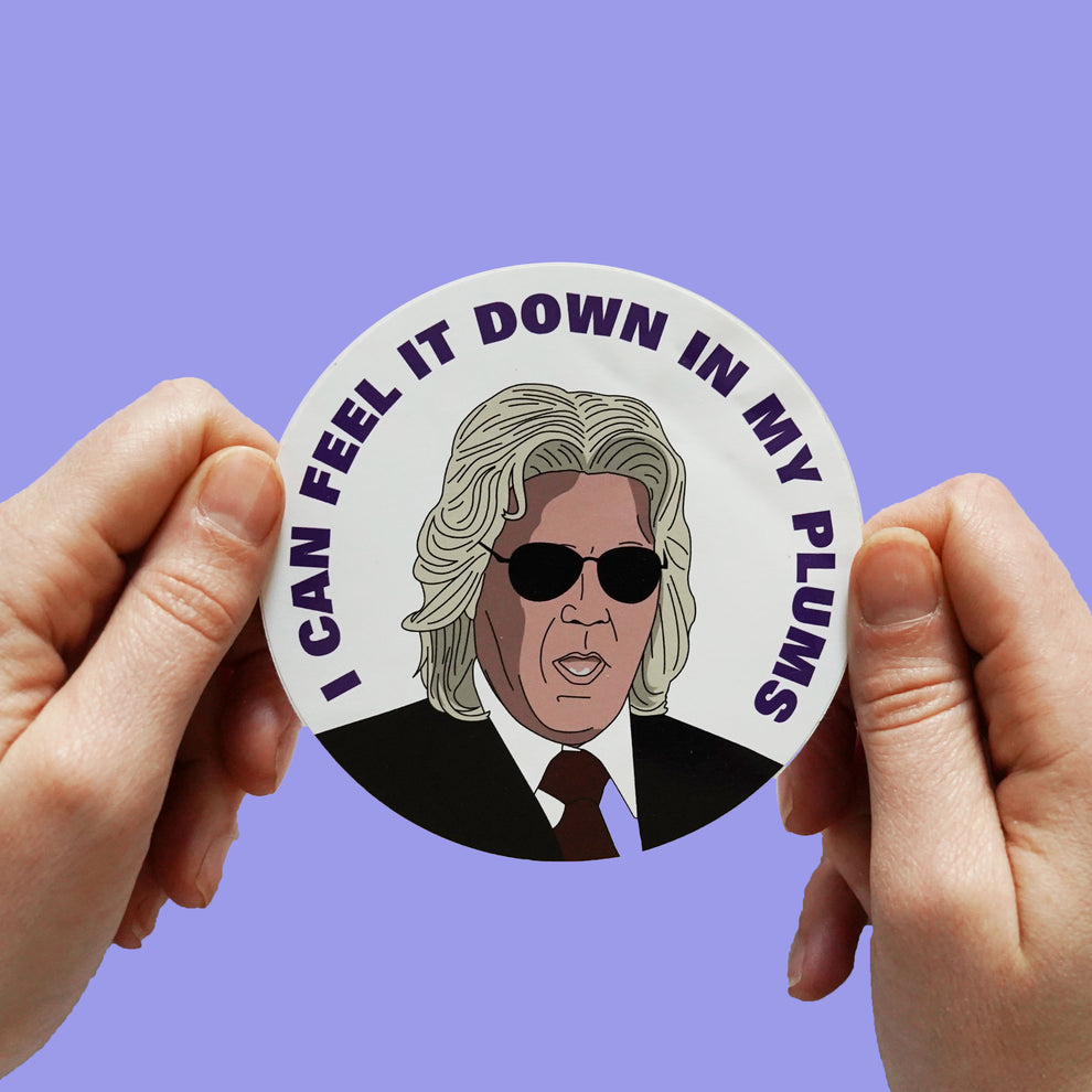 Ashley Schaeffer "I can feel it down in my plumbs" Sticker – Bump Sticker